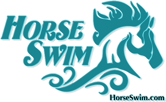 Look Who’s Swimming With Us… – Horse Swim